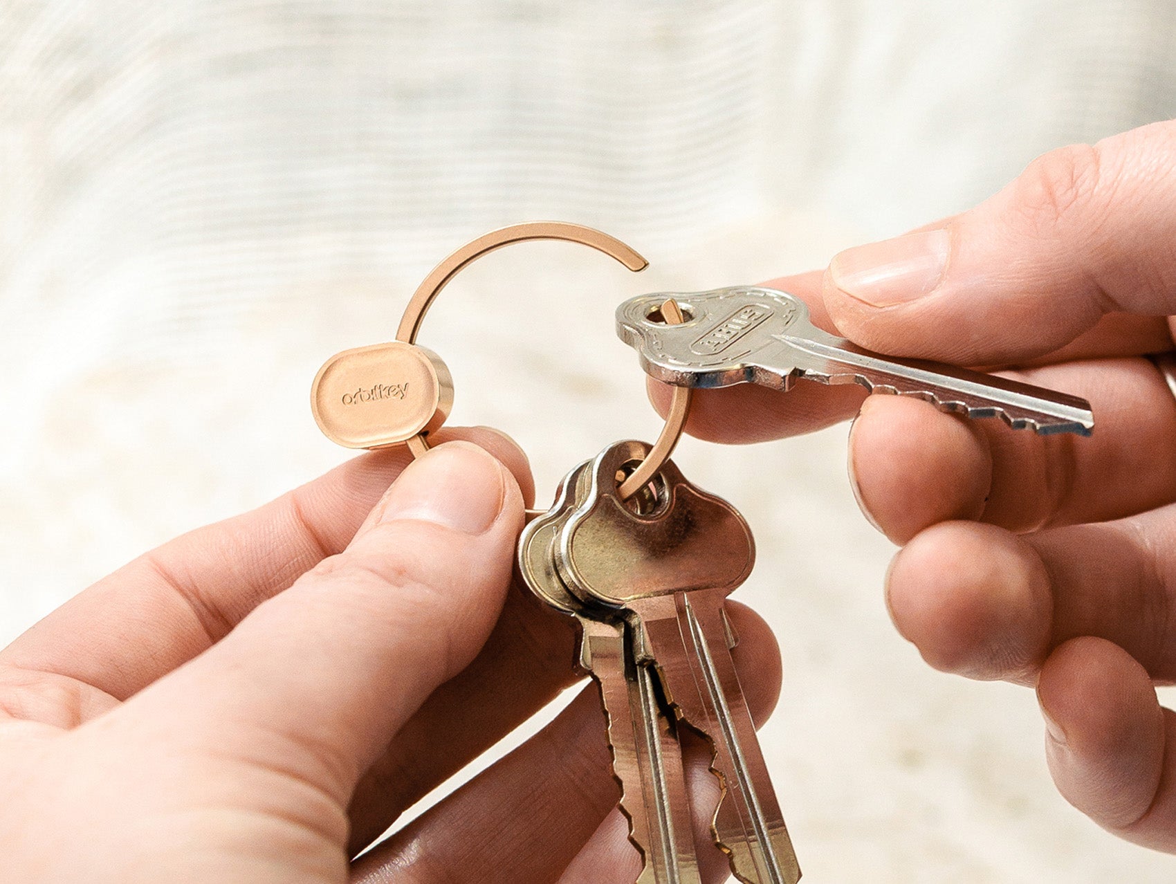 Clever Organisation for Better Living – Orbitkey Asia